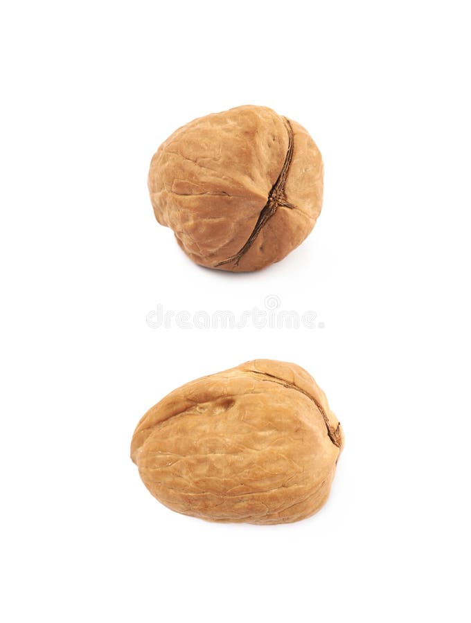 Single walnut isolated stock image. Image of close, delicious - 93074991