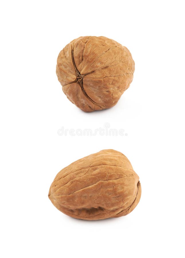 Single walnut isolated stock image. Image of diet, macro - 93497029