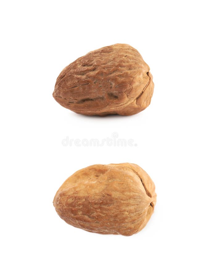 Single walnut isolated stock photo. Image of isolated - 93497086