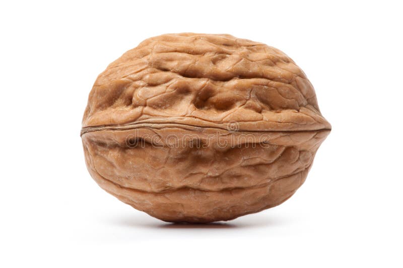 Walnut stock photo. Image of object, peels, healthy, walnut - 24119538