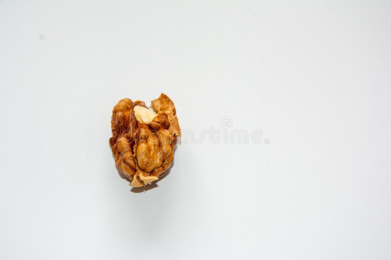 A Single Walnut Kernel is Exposed and Placed on a Pure White Background ...