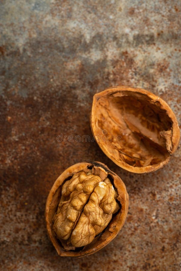 Single Walnut on a Rustic Background Stock Photo - Image of harvest ...