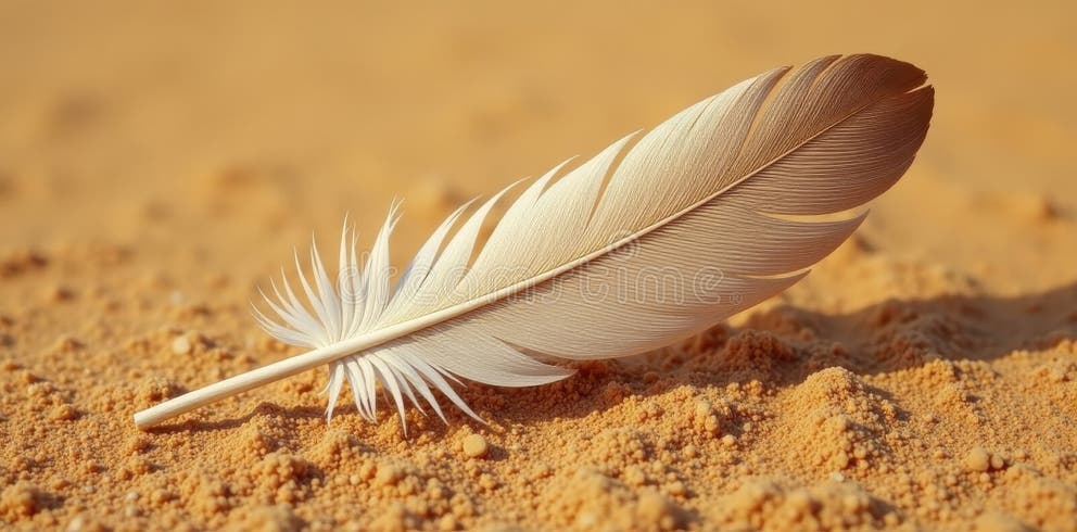 Single Weathered Feather, Desert Road, Sun Bleached, Ancient, Old Stock ...