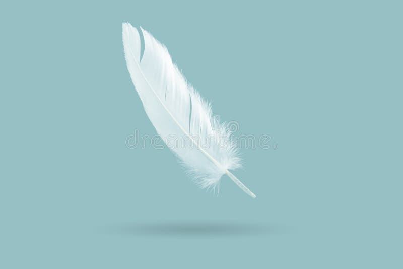Single White Bird Faether Falling in the Ai Stock Photo - Image of ...