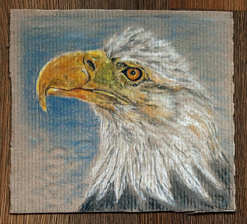 Single White Eagle Portrait Closeup. Hand Drawn Pastel Picture on the ...