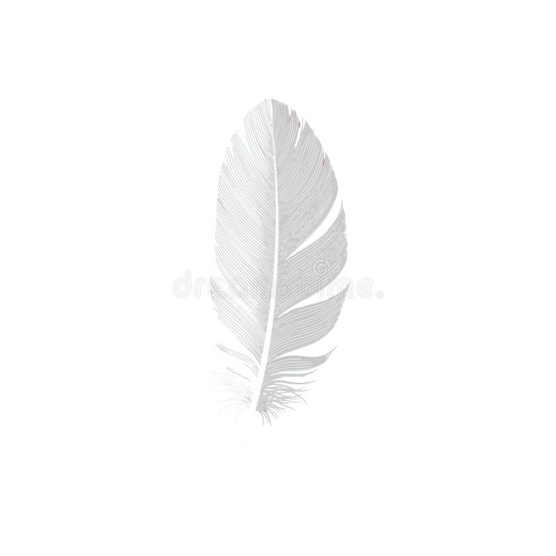 Single White Feather Detailed Vector Illustration on White Background ...