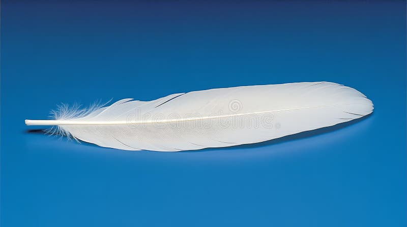 A Single White Feather Lays on a Bright Blue Background Stock ...
