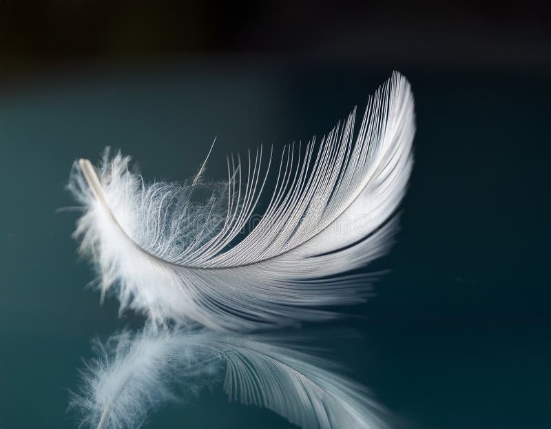 A Single White Feather Resting Gently on a Glass Surface with Its Soft ...