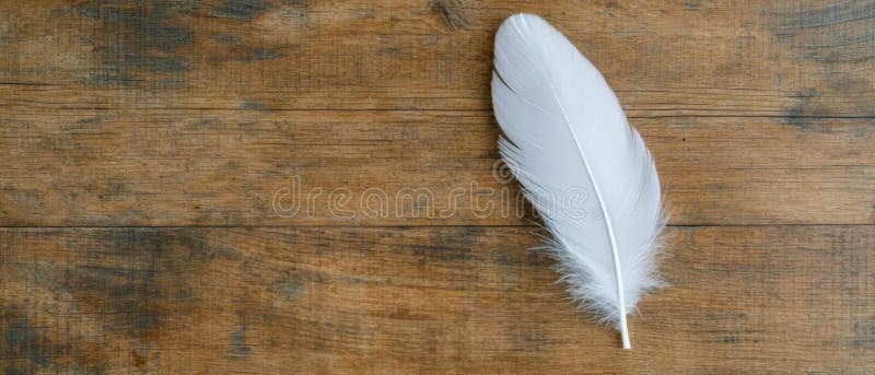A Single White Feather Rests on a Wooden Surface. Stock Photo - Image ...