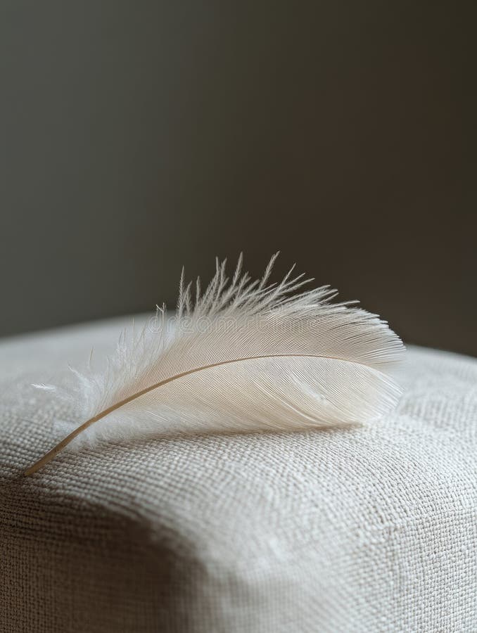 Single White Feather on Textured Fabric Surface Stock Photo - Image of ...