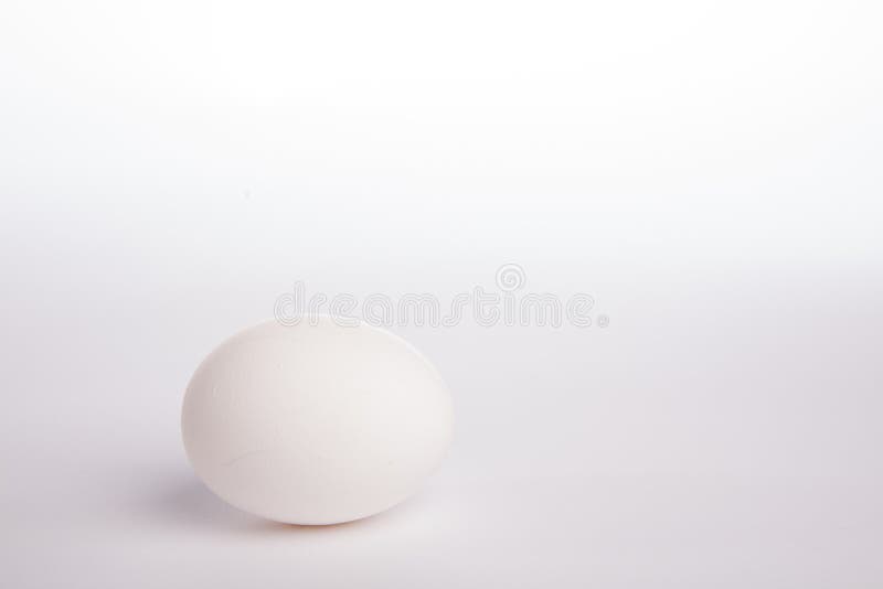 Perfect Single White Egg on White Background Stock Image - Image of ...