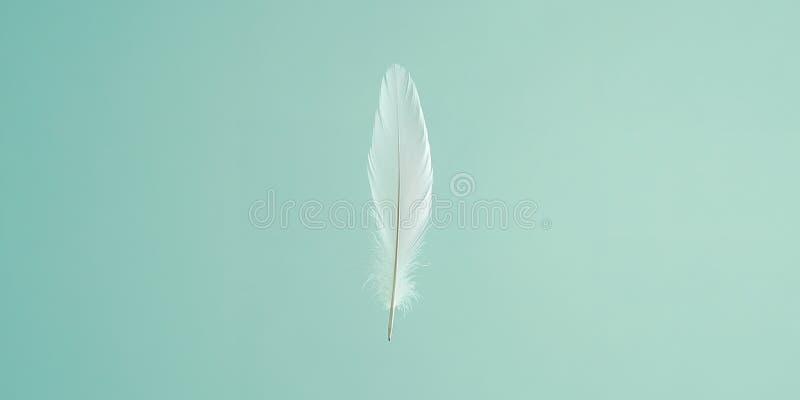 A Single White Plume Floating Gracefully Against a Soft Serene ...