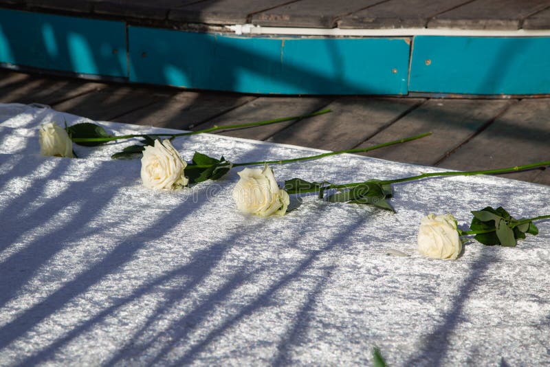Single White Roses Aligned on Shimmering Aisle Fabric during Wedding ...
