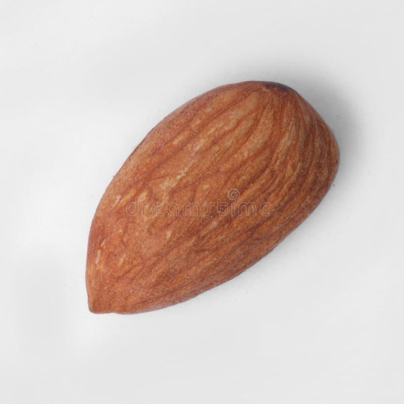 A Whole Almond Lying Flat on the Ground in a White Background Stock ...