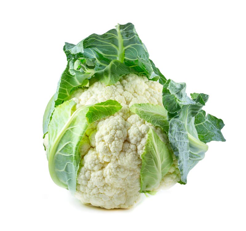 794 Single Whole Cauliflower White Stock Photos - Free & Royalty-Free ...