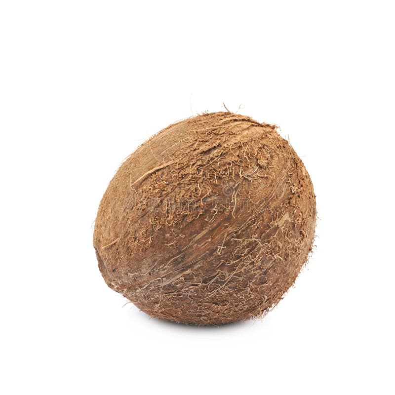 1,346 Coconut Single Whole Stock Photos - Free & Royalty-Free Stock ...