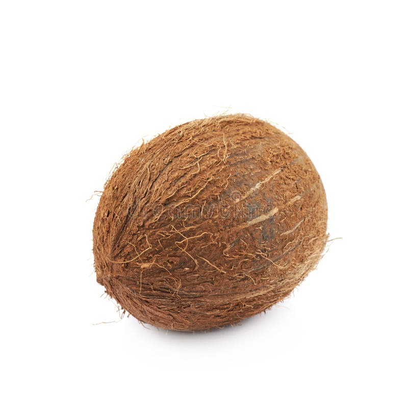 Single Whole Coconut Isolated Stock Photo - Image of object, brown ...
