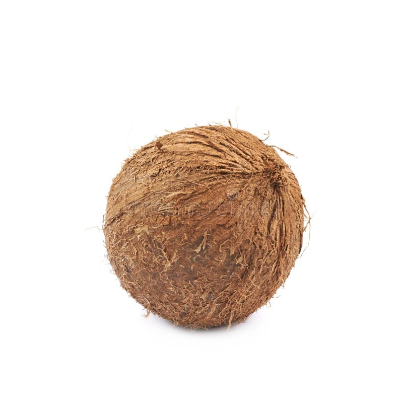 Single Whole Coconut Isolated Stock Image - Image of natural, plant ...
