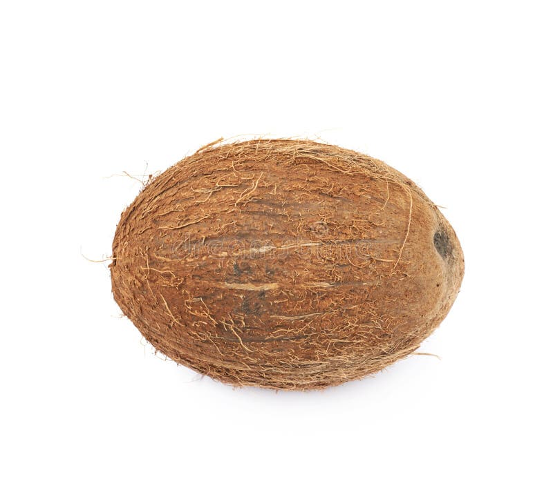 Single Whole Coconut Isolated Stock Image - Image of natural, plant ...