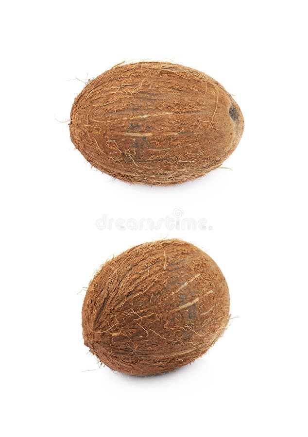 Single Whole Coconut Isolated Stock Image - Image of break, health ...