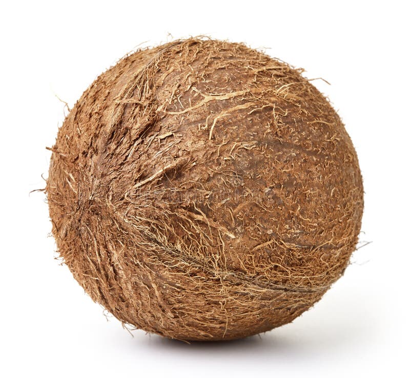 Single whole coconut stock photo. Image of healthy, exotic - 131373060