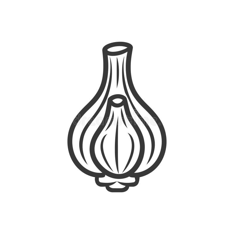 Single Whole Garlic Bulb Line Art Illustration Stock Vector ...