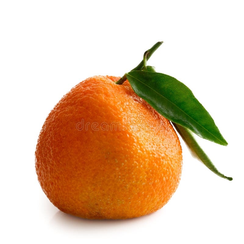 A Single Whole Mandarin with a Stem and Leaves Isolated on White Stock ...
