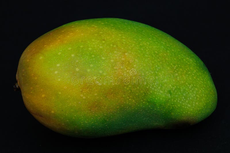 Single Whole Mango Harumanis Isolated on Black Stock Image - Image of ...