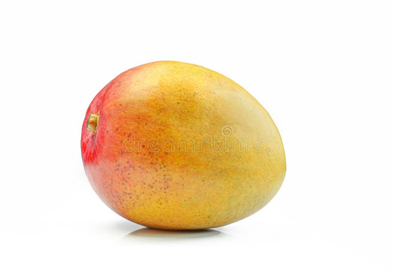 954 Mango Single Whole Photos - Free & Royalty-Free Stock Photos from ...