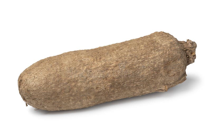 Single Whole Raw African Yam on White Background Stock Photo - Image of ...