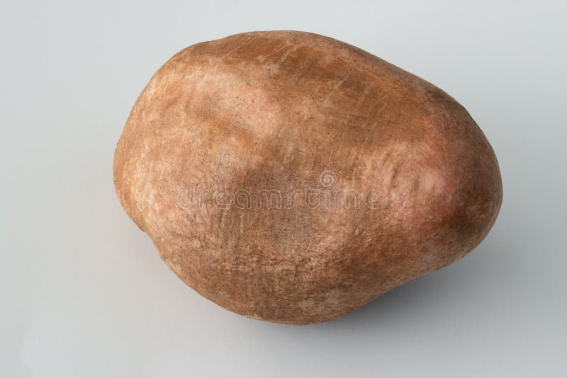 A Single Whole Sweet Potato Stock Photo - Image of potato, single ...