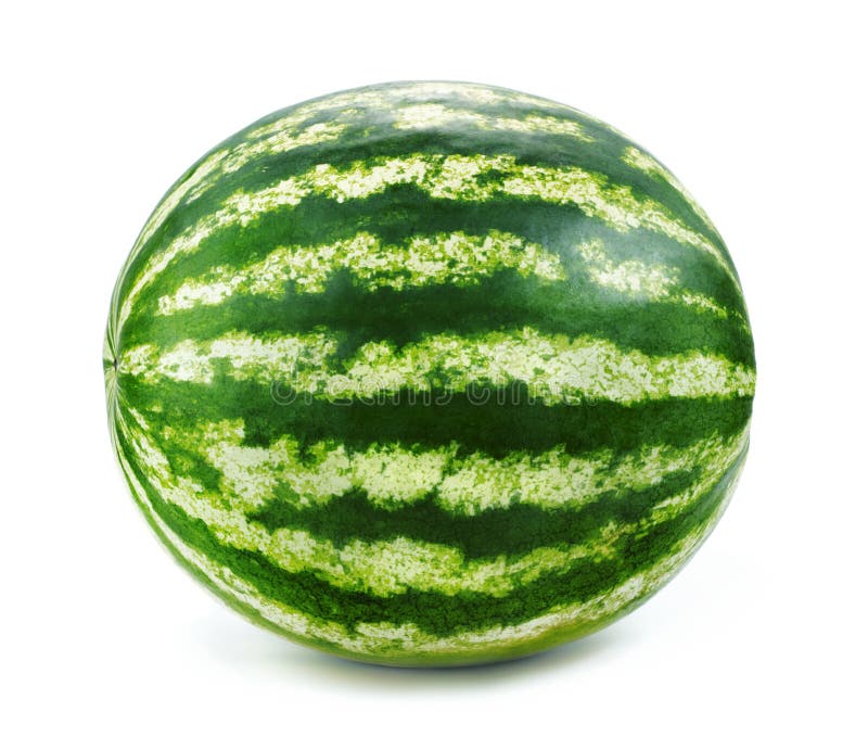 Whole watermelon isolated stock image. Image of white - 127565677