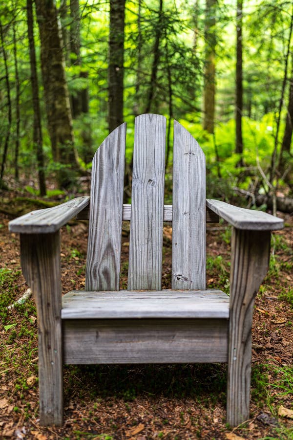 Single Wooden Chair in a Forest Stock Image - Image of overgrown ...