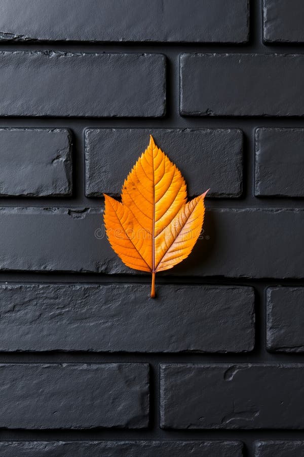 A Single Yellow Leaf on a Black Brick Wall Stock Photo - Image of ...