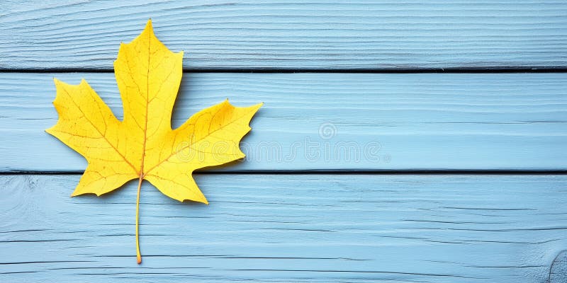 A Single Yellow Leaf on a Blue Wood Background Stock Illustration ...