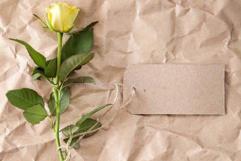 Single Yellow Rose with Blank Tag Stock Image - Image of greetings ...