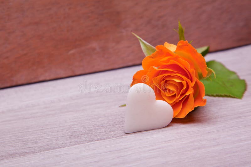 Single Yellow Rose with White Sugar Heart Stock Image - Image of ...