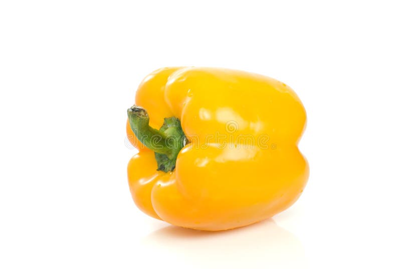 Single Yellow-red Native Grape Leaf Stock Image - Image of nature ...