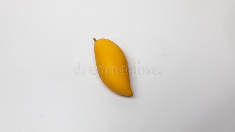 A Single Yellow Thai Mango stock photo. Image of ripe - 275596962