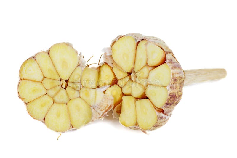 Single Young Garlic Head Cut in Half Isolated on White Stock Photo ...