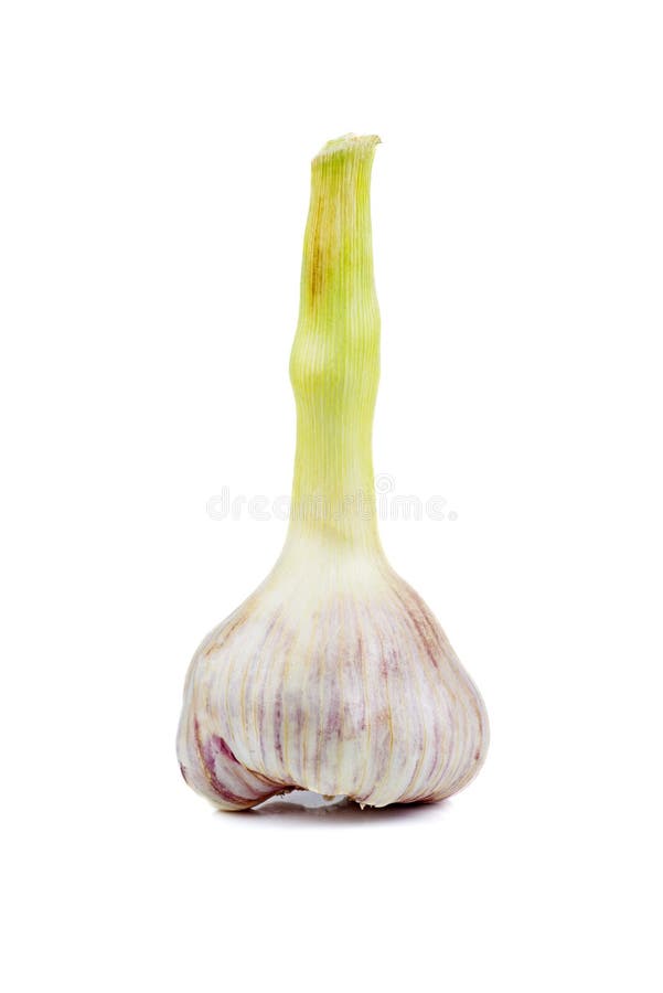 Single Young Garlic Head Cut in Half Isolated on White Stock Photo ...