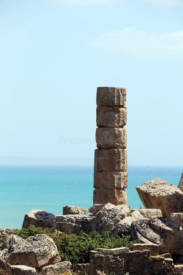 Singola Colonna Greca Doric Antica, Selinunte Immagine Stock - Immagine ...