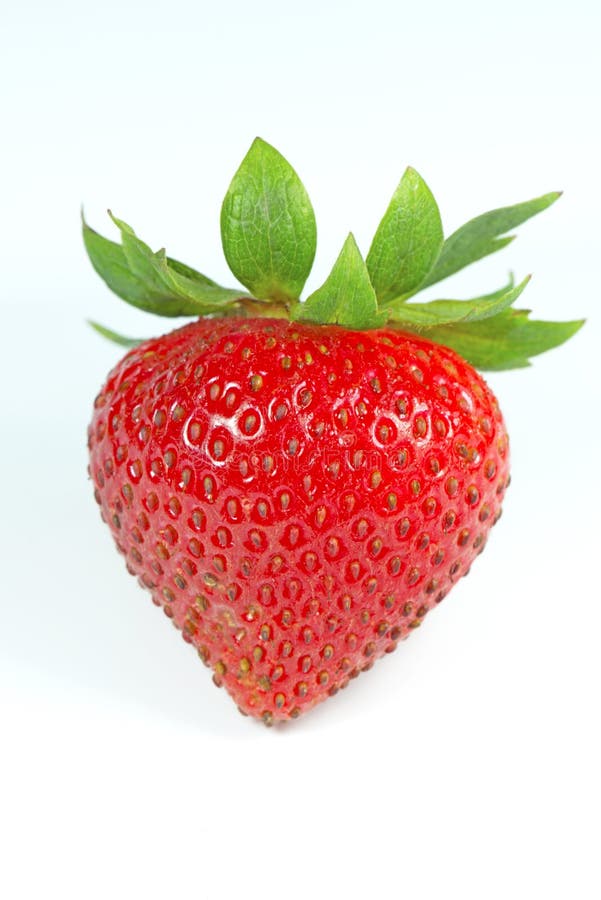 Singola Frutta Della Fragola Fotografia Stock - Immagine di colorful ...