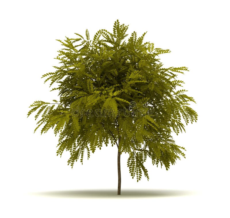 Illustrazione Di Tiraggio Della Mano Delle Foglie E Dei Fiori Di ...