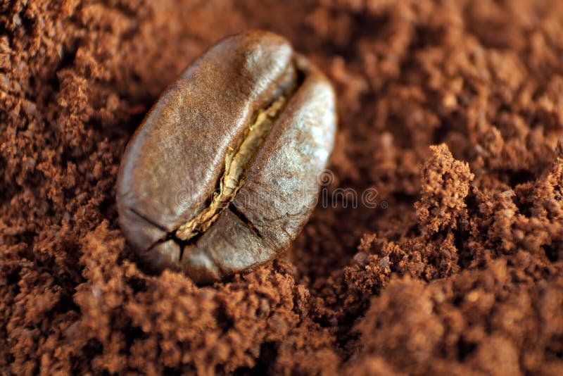 13,859 Chicco Di Caffè Foto - Foto Stock Gratis e Royalty-Free da ...