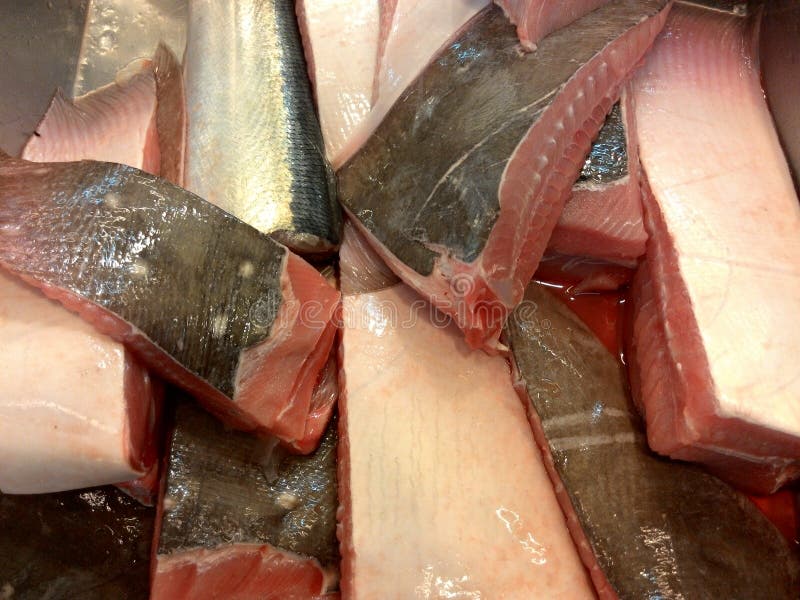 Singray cuts stock photo. Image of animal, stingray, healthy - 45222062