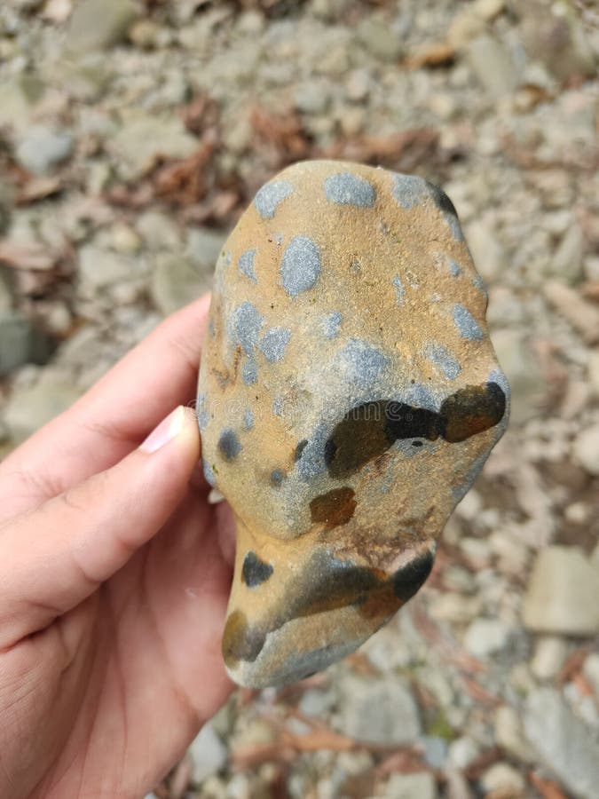 Singular Rock of the River that Brings Stock Image - Image of leaf ...