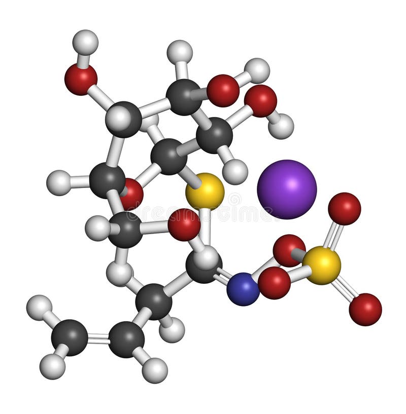 Sinigrin Glucosinolate Molecule. Present in Some Cruciferous Vegetables ...