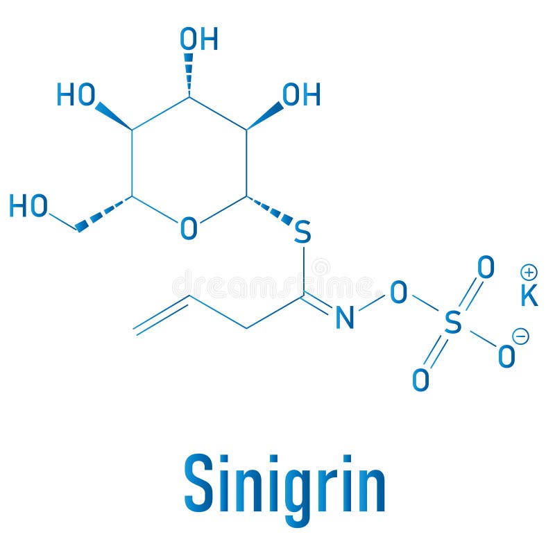Sinigrin Glucosinolate Molecule. Present in Some Cruciferous Vegetables ...