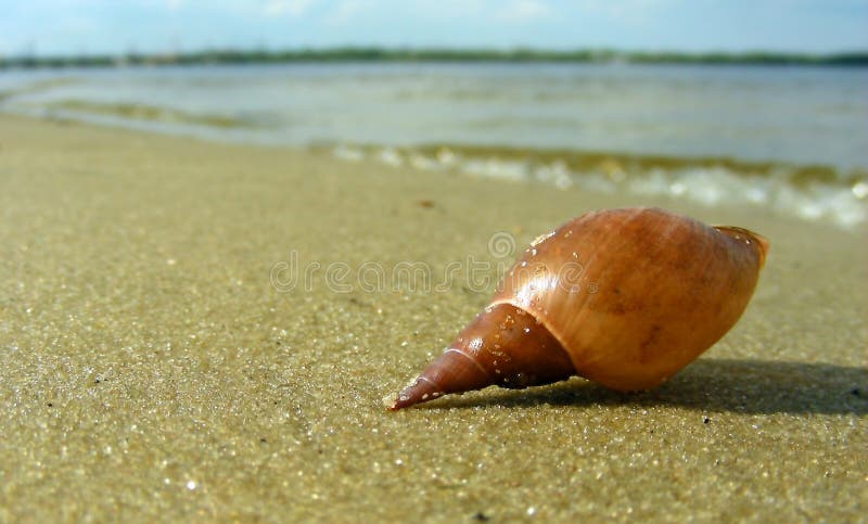 Sink by the river stock image. Image of bank, mood, yelow - 138303379